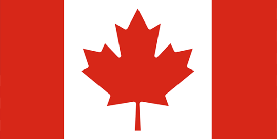 Cedar Trees, Cedar Hedging & Privacy Hedges | Tree Planting Service